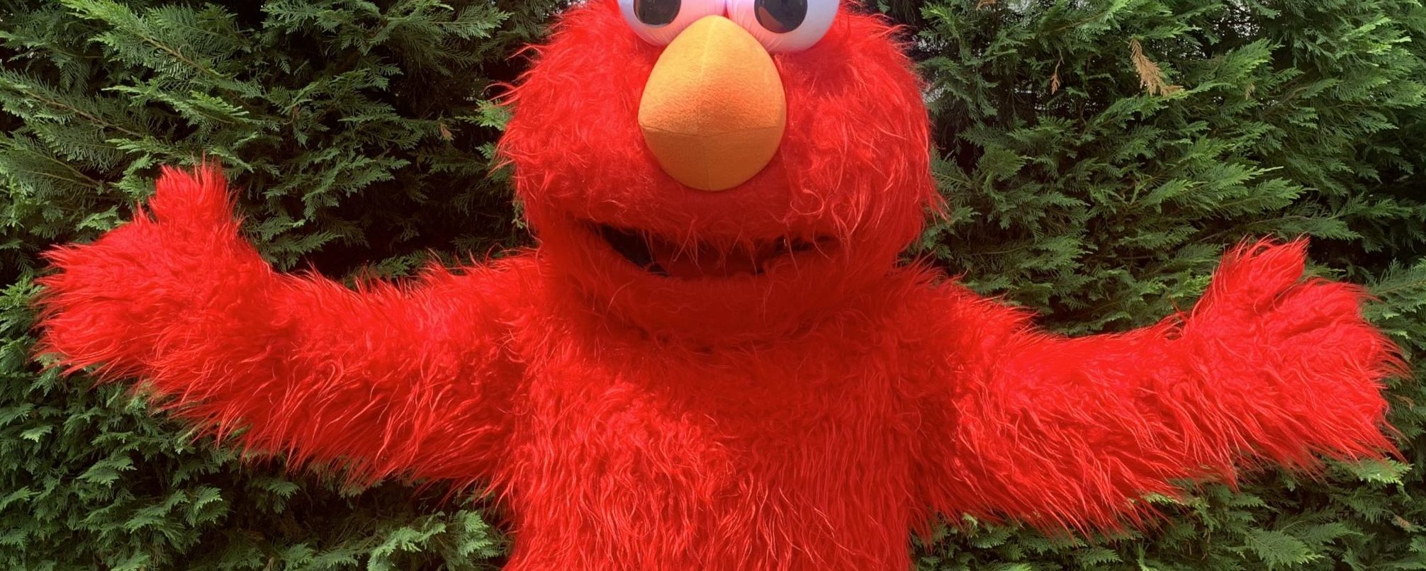 Virginia Kids Party Characters, Superhero Entertainers, Princess.