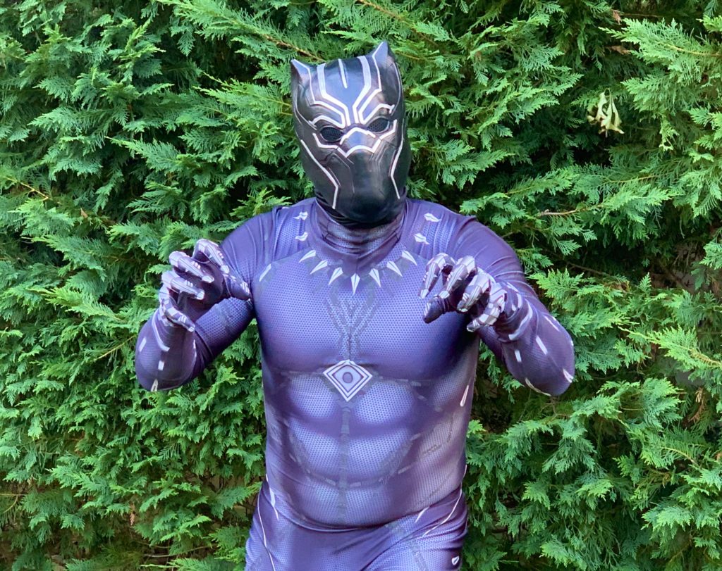 Virginia Kids Party Characters, Superhero Entertainers, Princess.